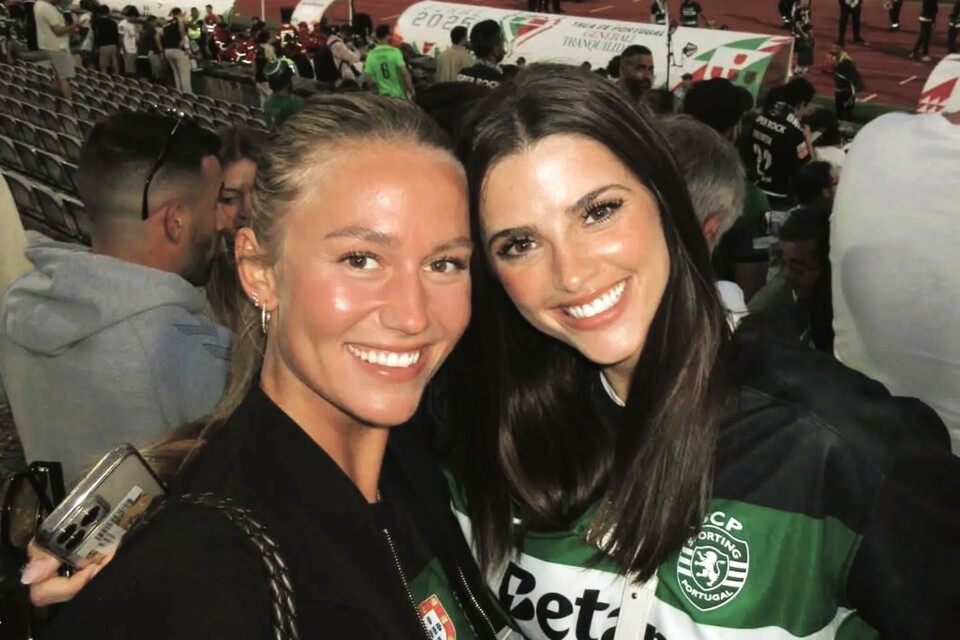 Foto do dia - Camarote Leonino