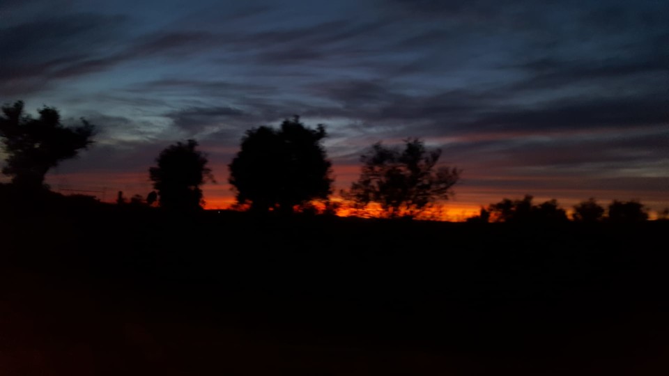 Uma fotografia quando me apetecer #6 - happyness is everywhere