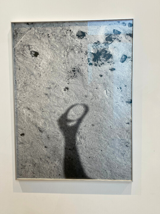 Escritório da Abreu Advogados acolhe exposição de Barbara Wildenboer ...