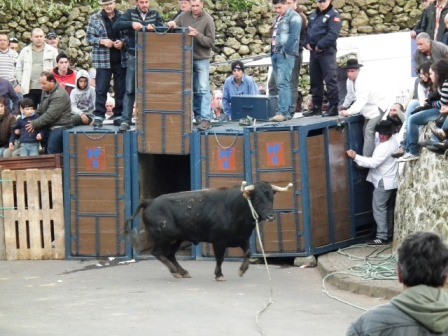 Tourada à corda - Alchetron, The Free Social Encyclopedia