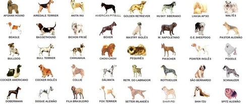 Eu gosto é de Cães - T o v i