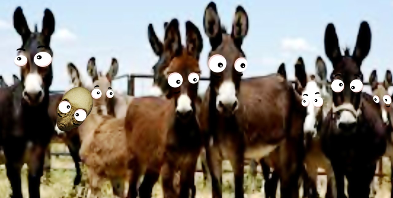 Carta à Berta nº. 277: Livro - O diário Secreto do Senhor da Bruma - II ...